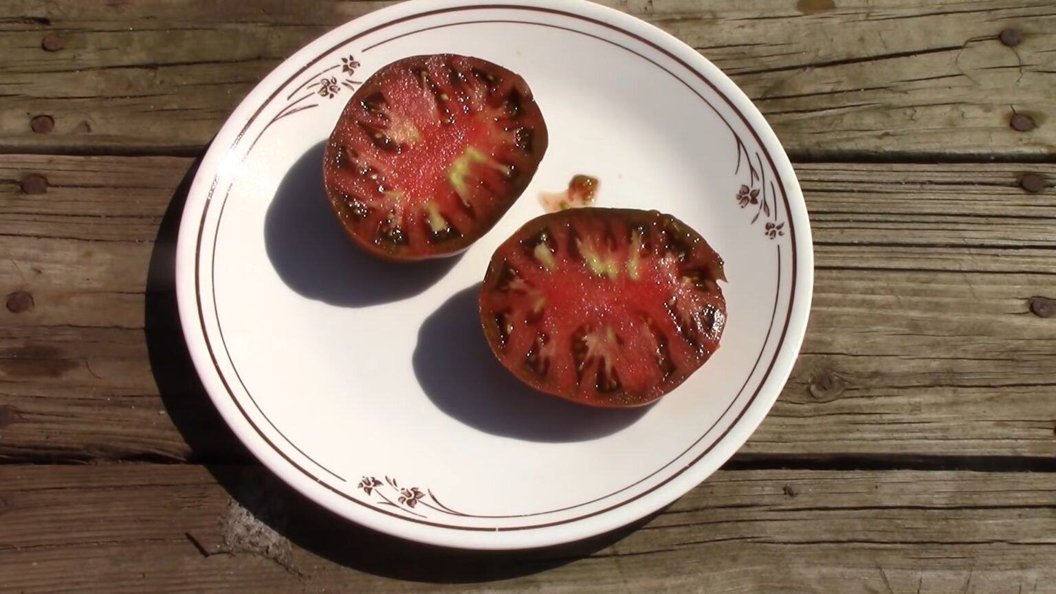 11 Best Tomatoes to Grow in Southern California 2023: Top Choices for ...