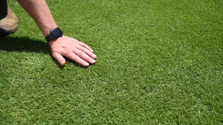 Easiest Grass To Grow In Southern California?